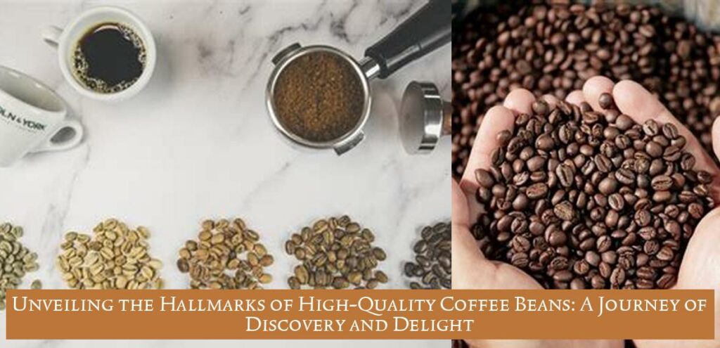 William's Coffee Co - Expert Home Brewing Techniques & Bean Selections ...