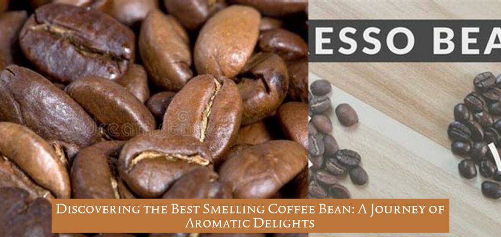 Discovering the Best Smelling Coffee Bean: A Journey of Aromatic ...